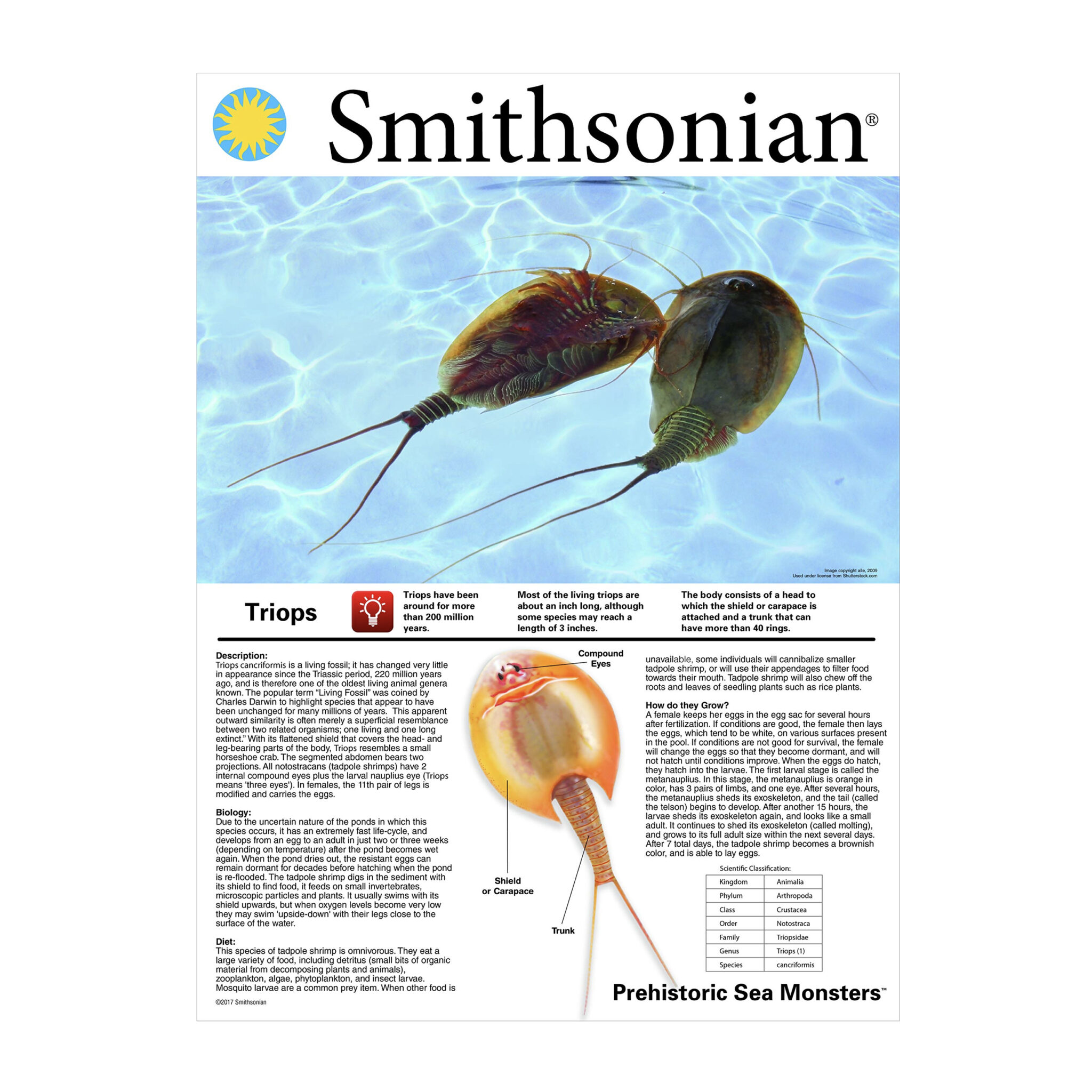 Smithsonian Micro Sea Monsters - Toys for Tots Virtual Toy Box
