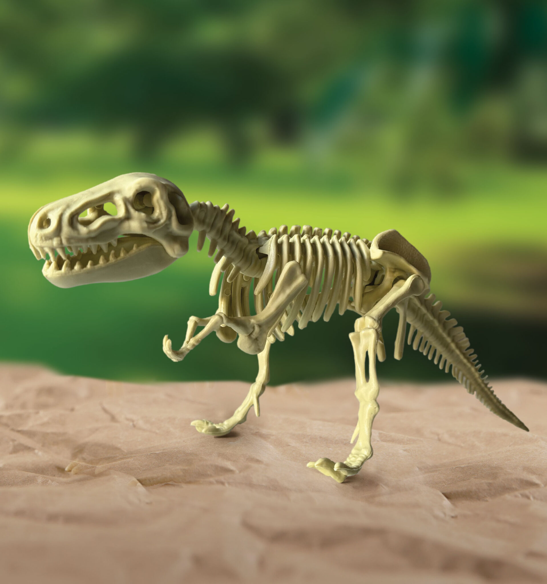 Smithsonian Dinosaur Fossils Value Kit - Toys for Tots Virtual Toy Box